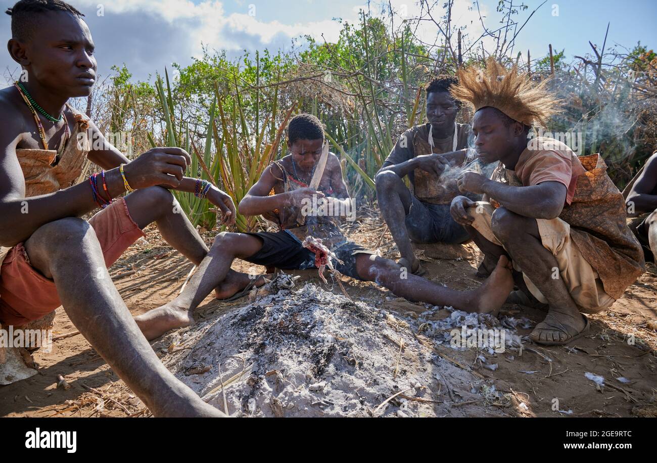 bushmen of Hadzabe tribe sitting around a fireplace and broiling a bird, Lake Eyasi, Tanzania ...