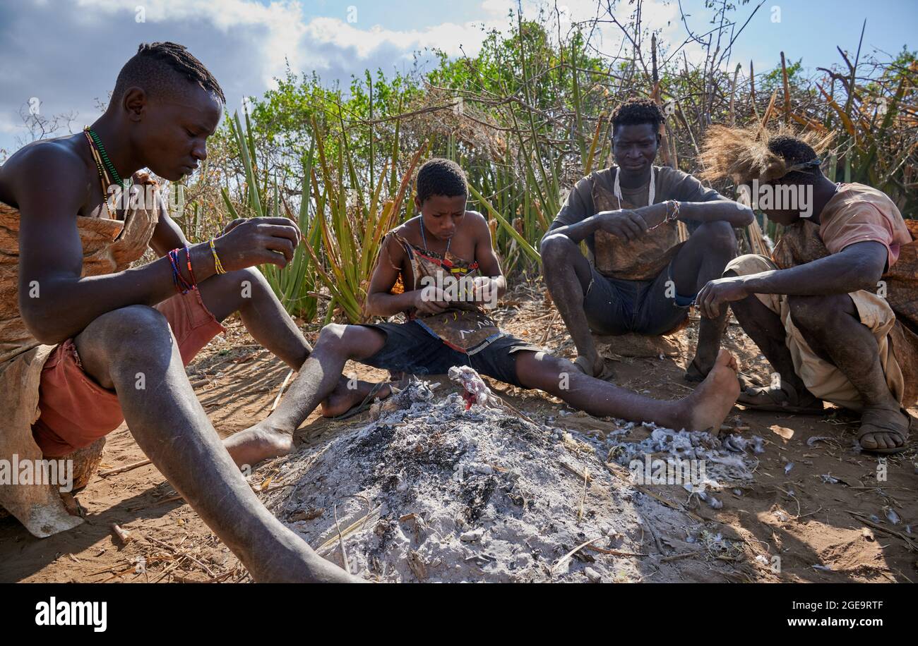 bushmen of Hadzabe tribe sitting around a fireplace and broiling a bird ...