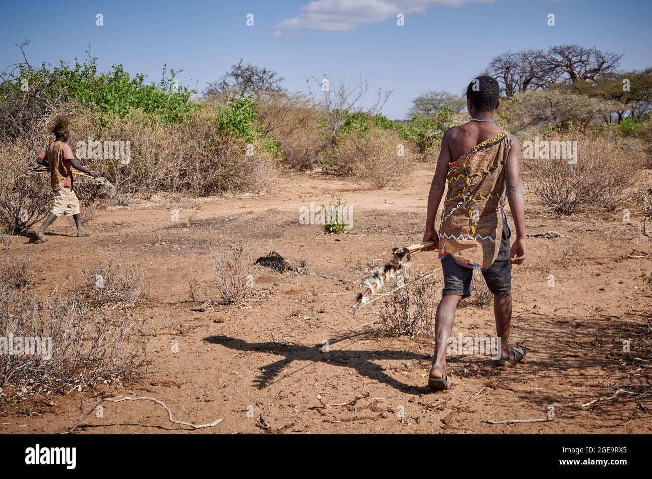 hunting bushmen of Hadzabe tribe with bow and arrow, Lake Eyasi ...
