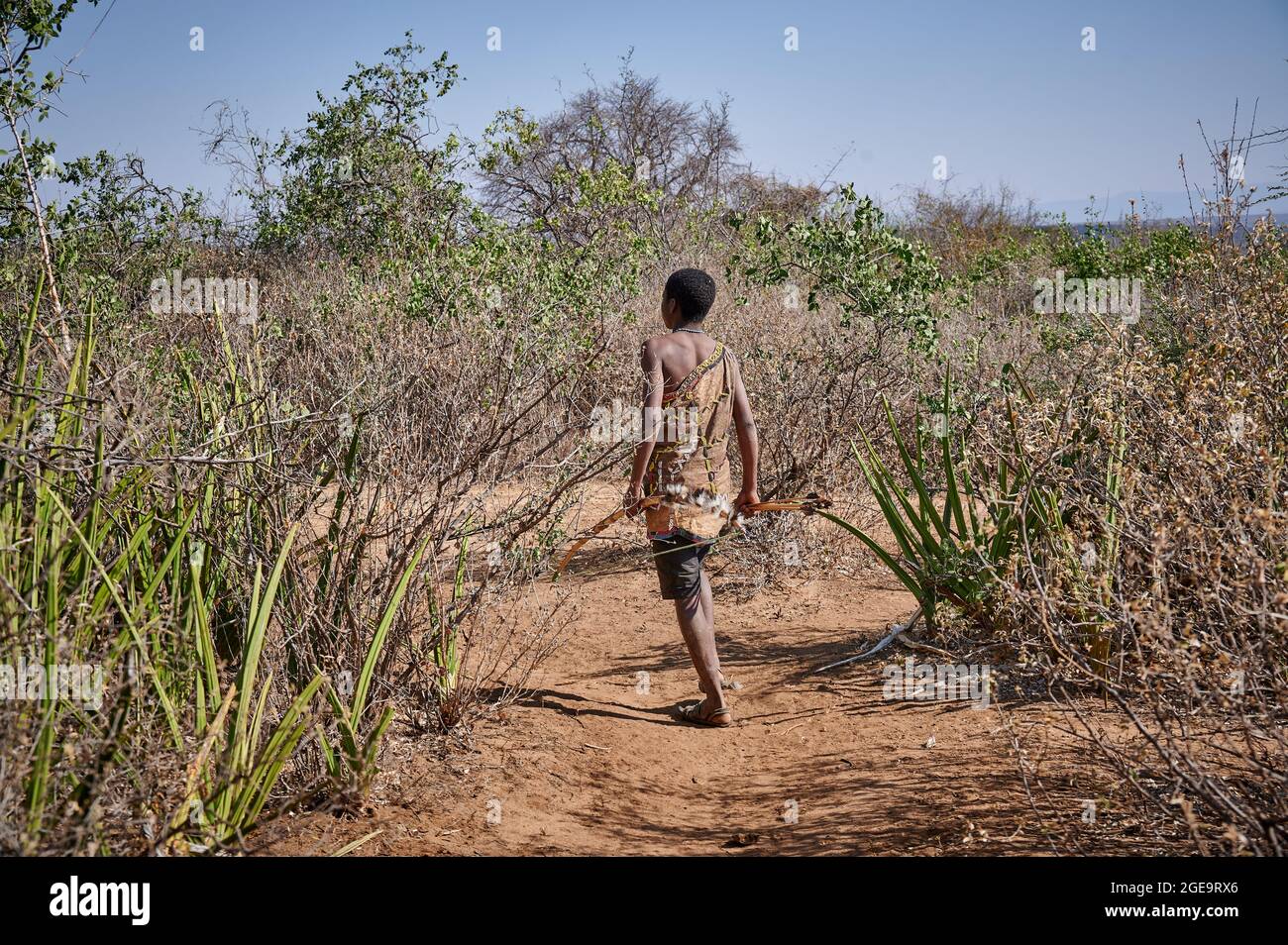 hunting bushmen of Hadzabe tribe with bow and arrow, Lake Eyasi ...