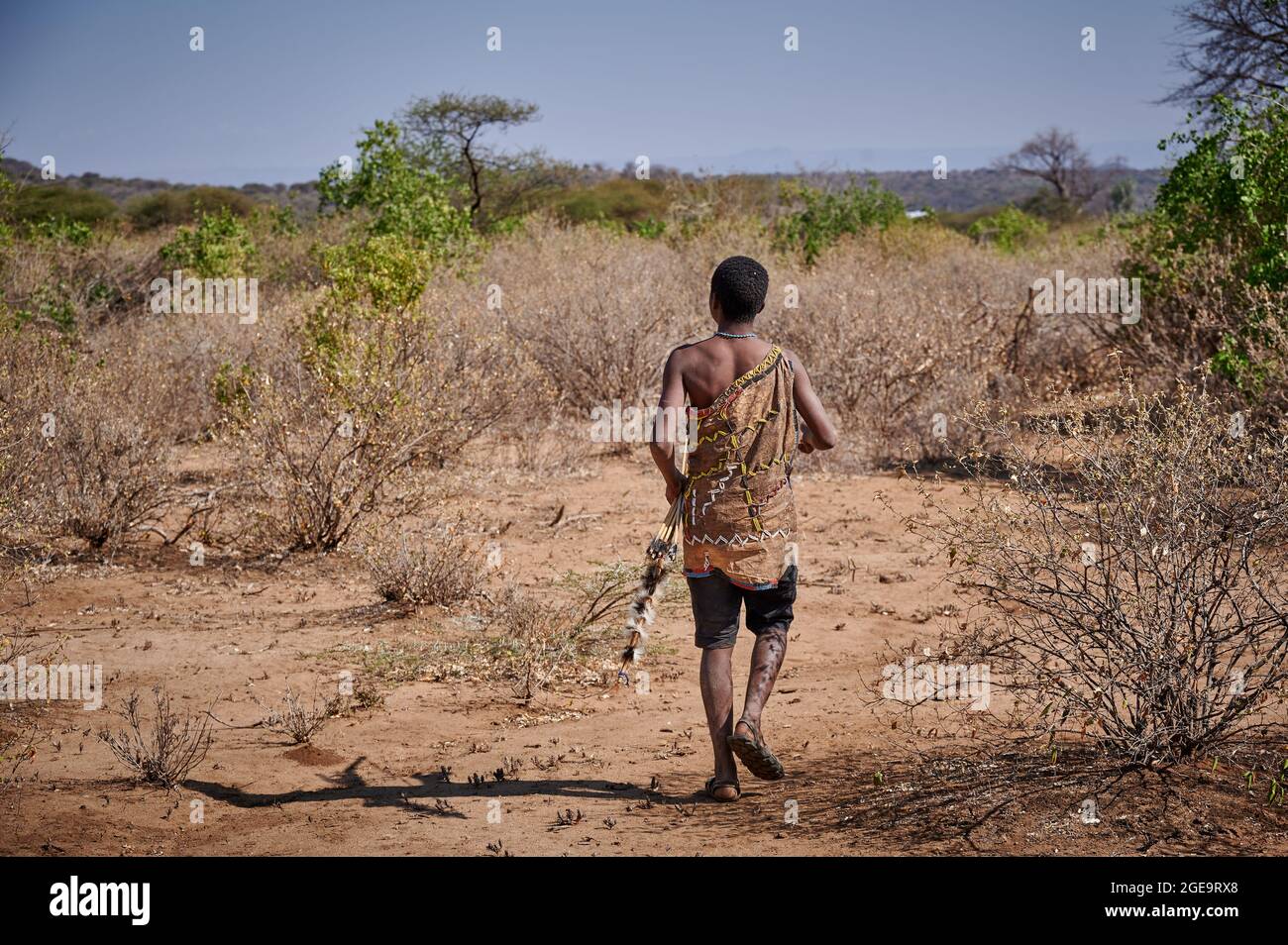Bushmen Hunting Bow Arrow Bushman High Resolution Stock Photography and ...