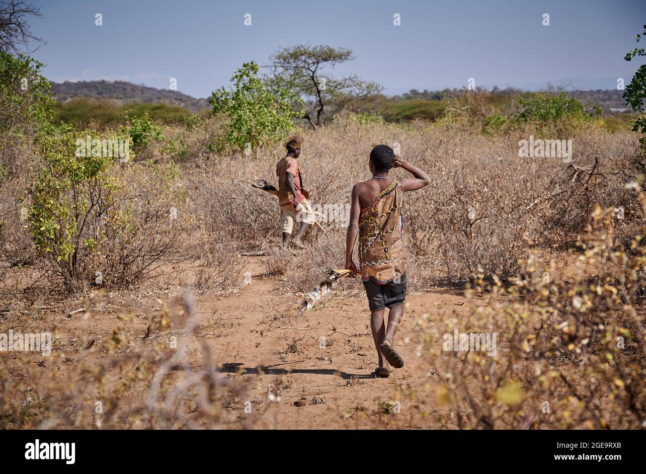 Bushmen Hunting High Resolution Stock Photography and Images - Alamy