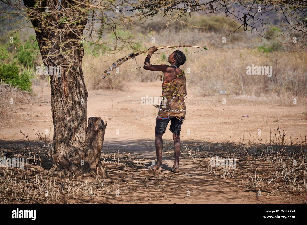 hunting bushmen of Hadzabe tribe with bow and arrow, Lake Eyasi ...
