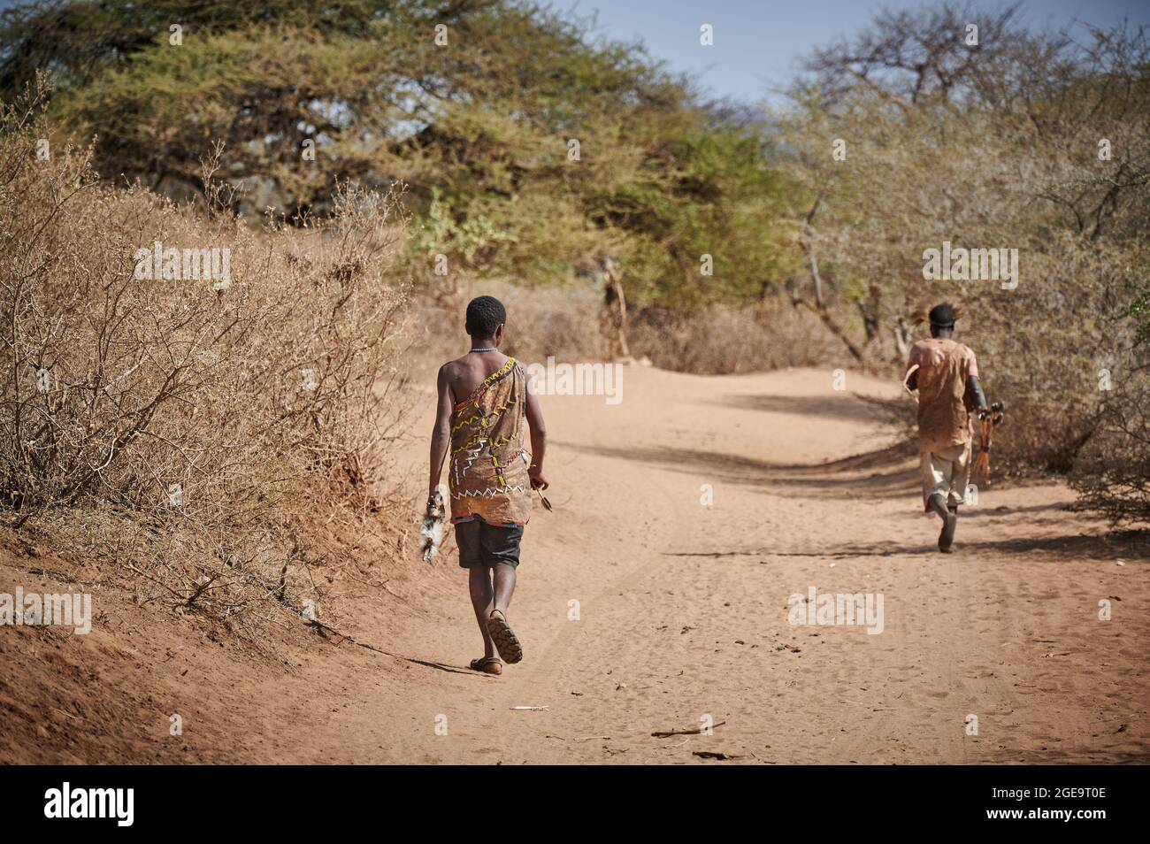hunting bushmen of Hadzabe tribe with bow and arrow, Lake Eyasi ...
