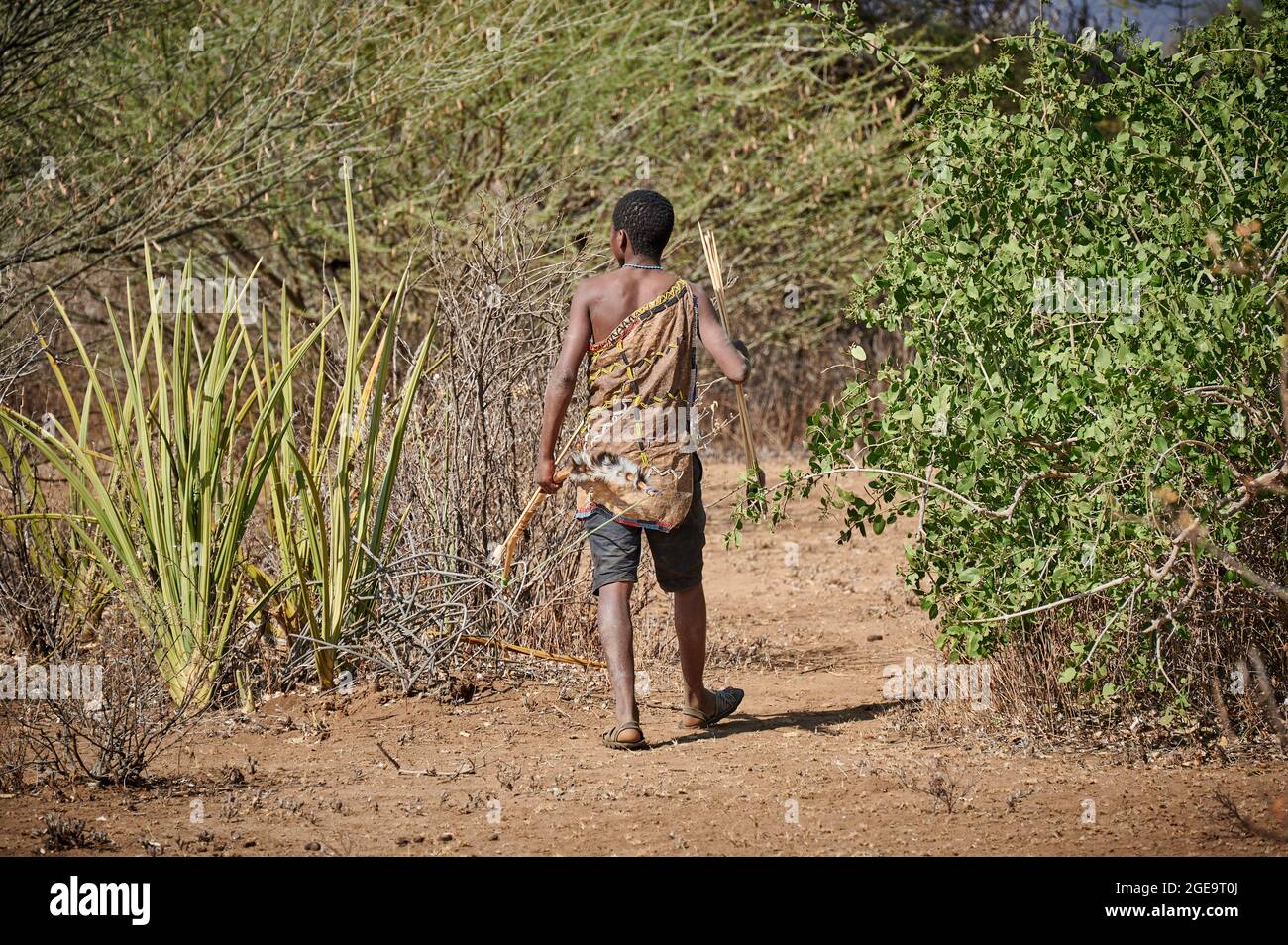 hunting bushmen of Hadzabe tribe with bow and arrow, Lake Eyasi ...