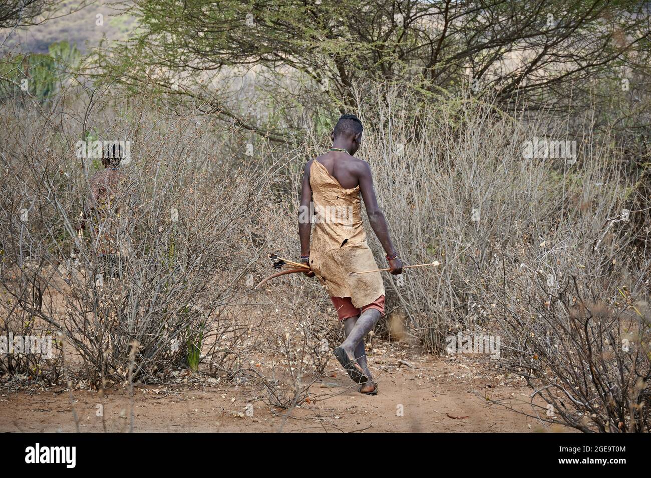 hunting bushmen of Hadzabe tribe with bow and arrow, Lake Eyasi ...