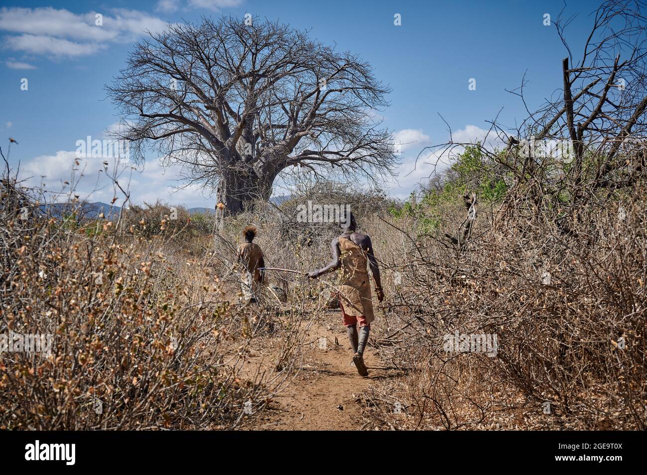 hunting bushmen of Hadzabe tribe with bow and arrow, Lake Eyasi ...