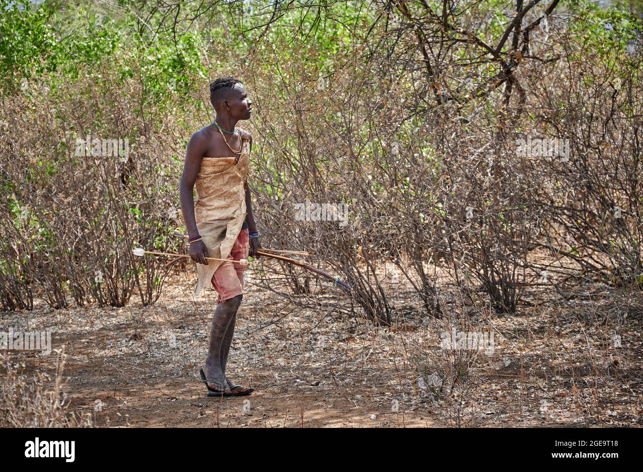 Bushmen Hunting High Resolution Stock Photography and Images - Alamy