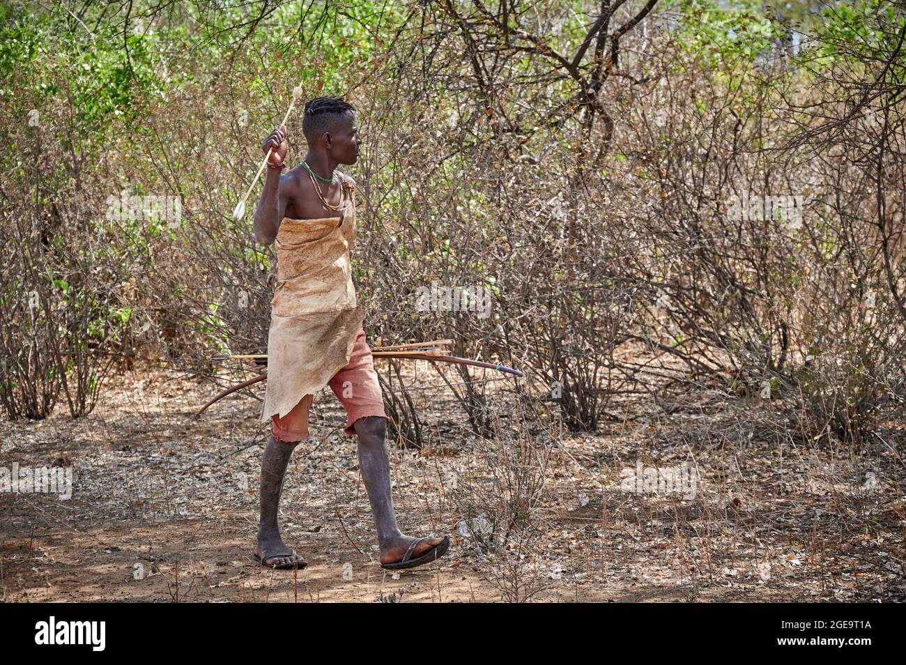 hunting bushmen of Hadzabe tribe with bow and arrow, Lake Eyasi ...