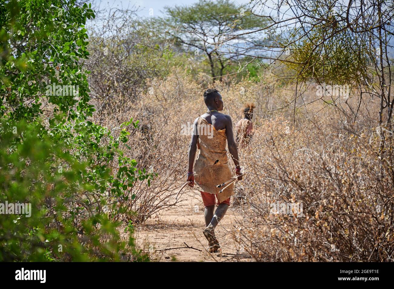 hunting bushmen of Hadzabe tribe with bow and arrow, Lake Eyasi ...