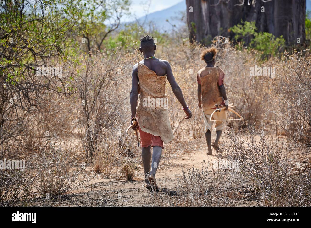 hunting bushmen of Hadzabe tribe with bow and arrow, Lake Eyasi ...