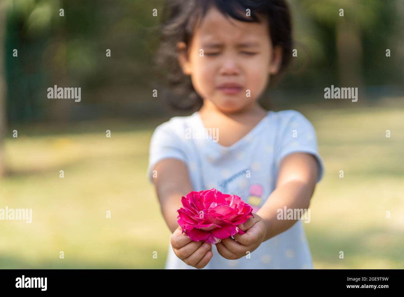 Concept of a sad little girl hold rose flower at the park Stock Photo ...