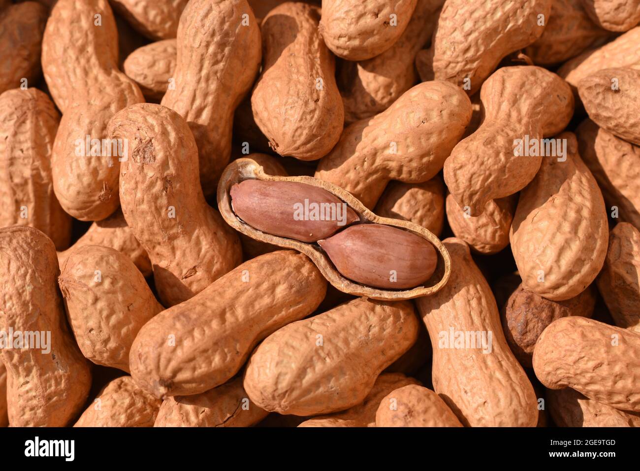 Peanuts wallpaper hi-res stock photography and images - Alamy