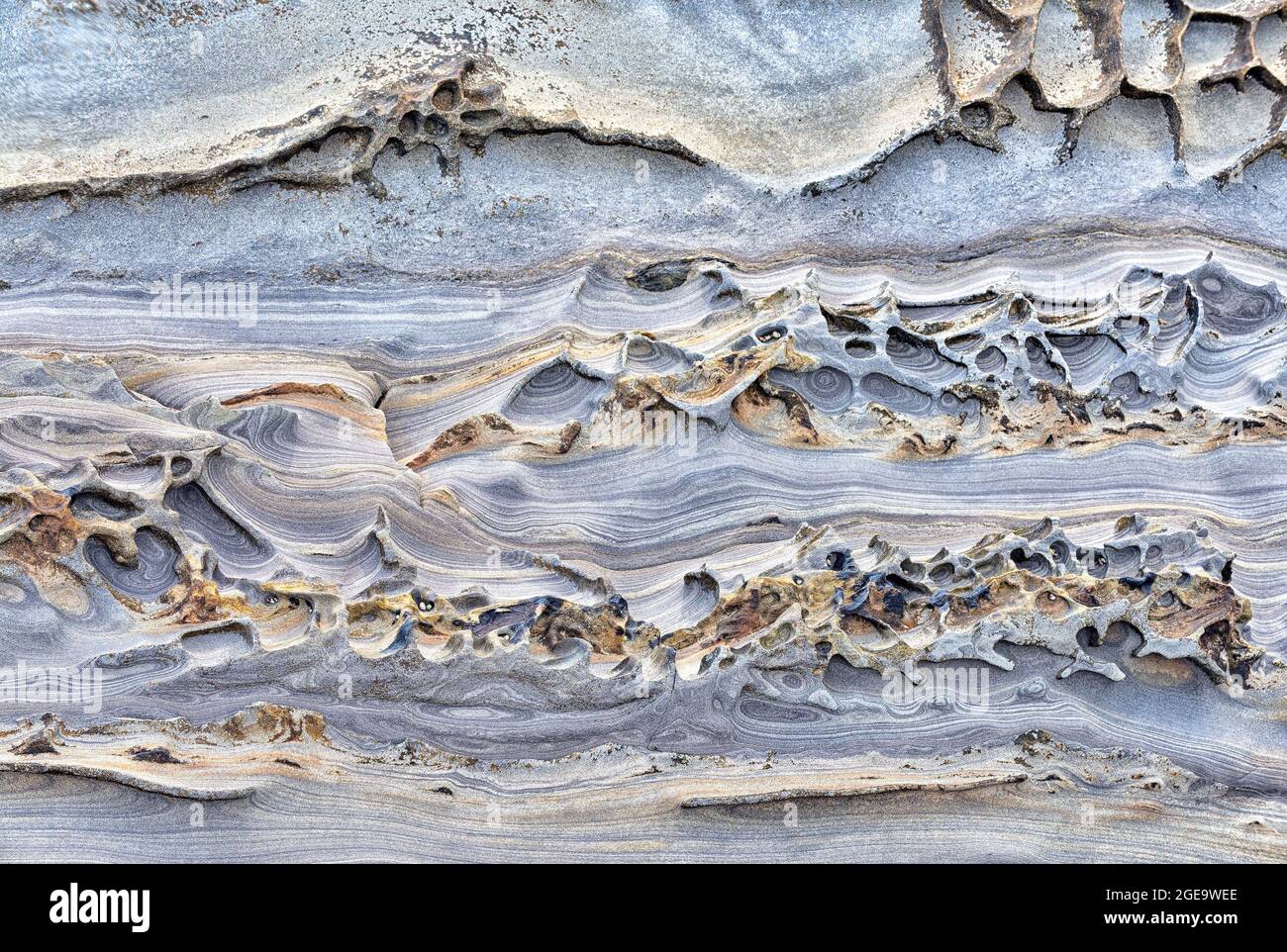 Intimate details hi-res stock photography and images - Alamy