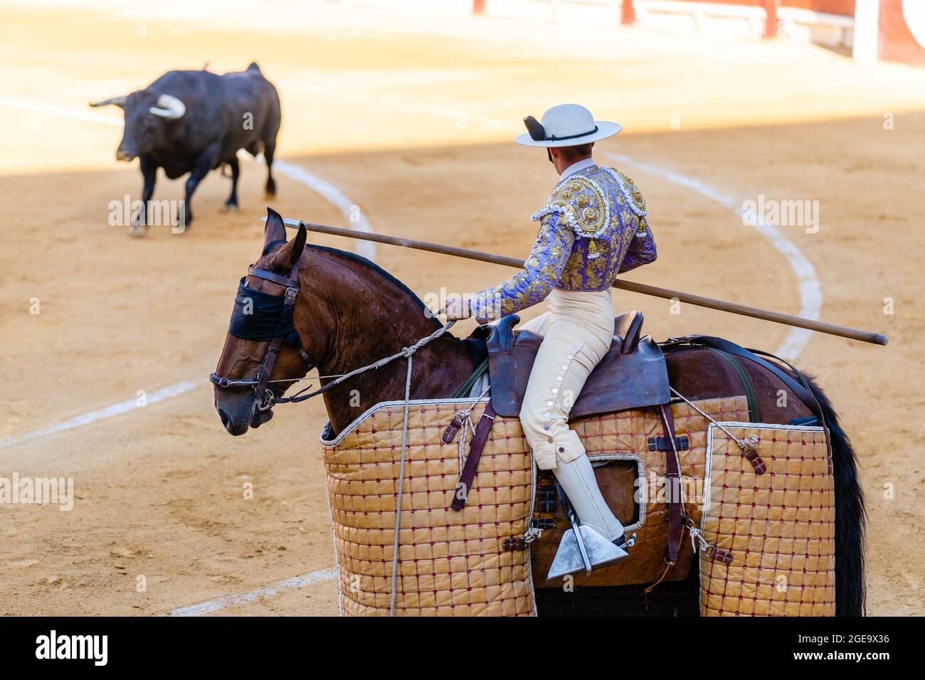 Angry horse hi-res stock photography and images - Alamy