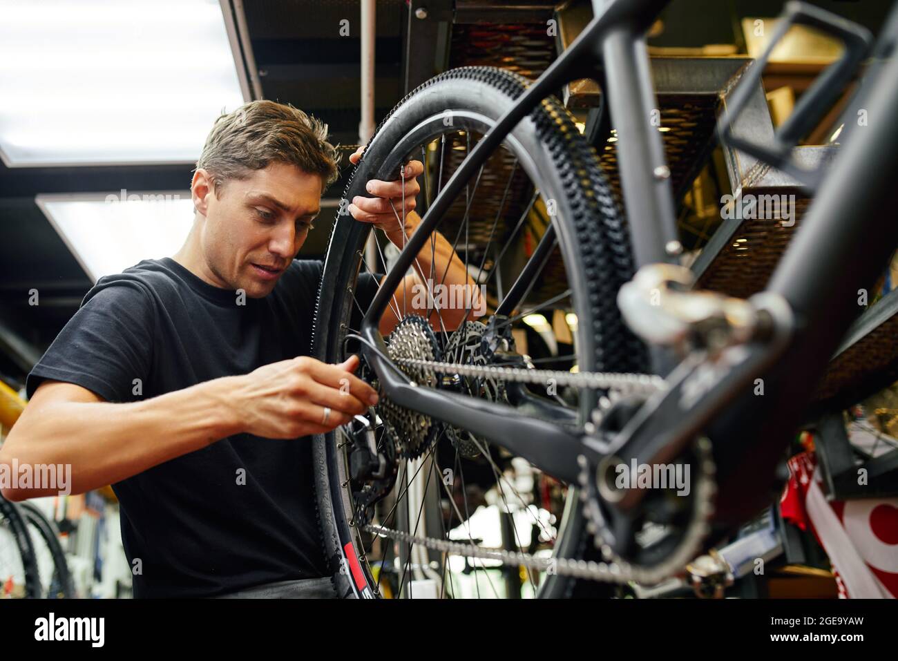 Male technician attaching wheel to bike while working in professional ...
