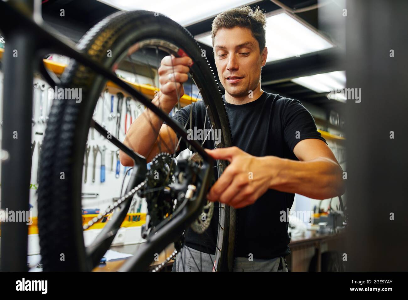 Male technician attaching wheel to bike while working in professional ...