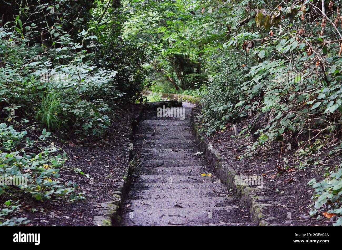 Ewloe Castle Stairway Stock Photo - Alamy