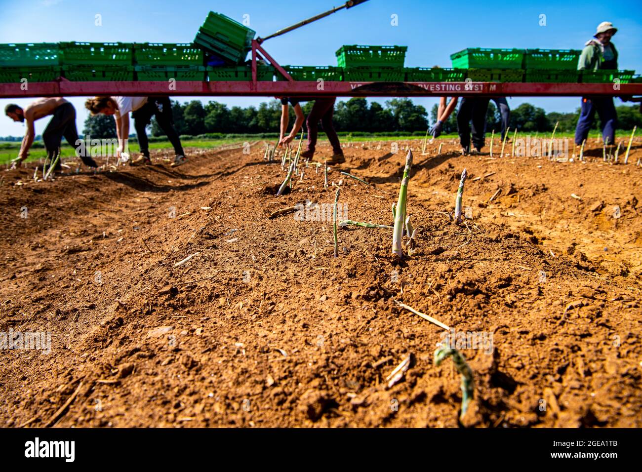 Eastern european workers hi-res stock photography and images - Alamy