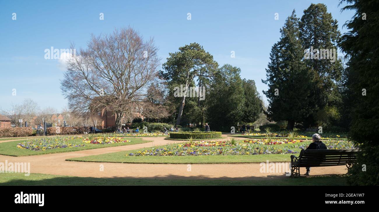 Visitor on bench surveying Abbey Gardens, Abingdon, Oxfordshire Stock ...