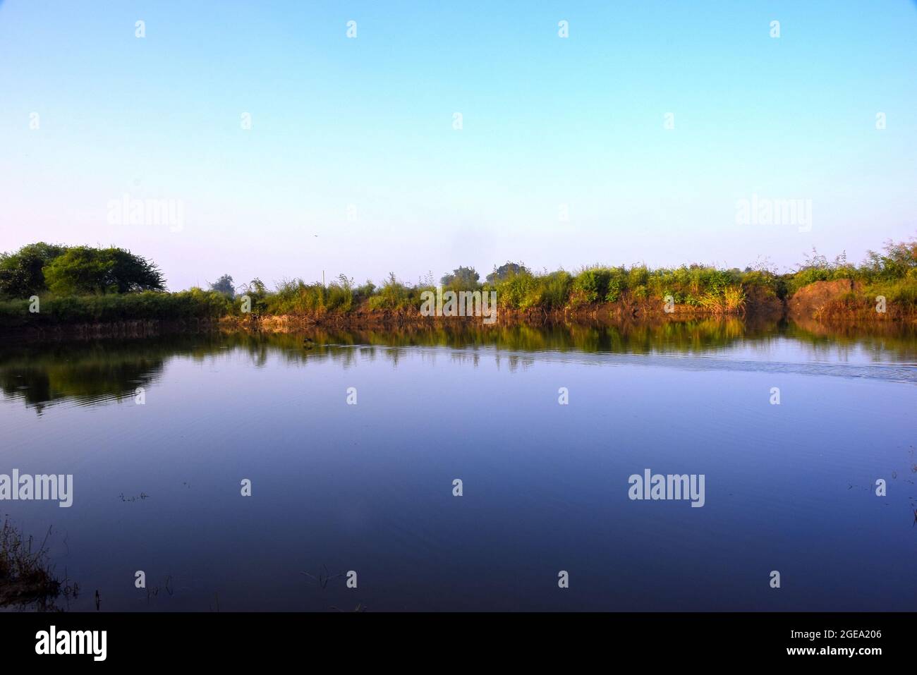 beautiful pond and blue sky with greenery, morning view Stock Photo - Alamy