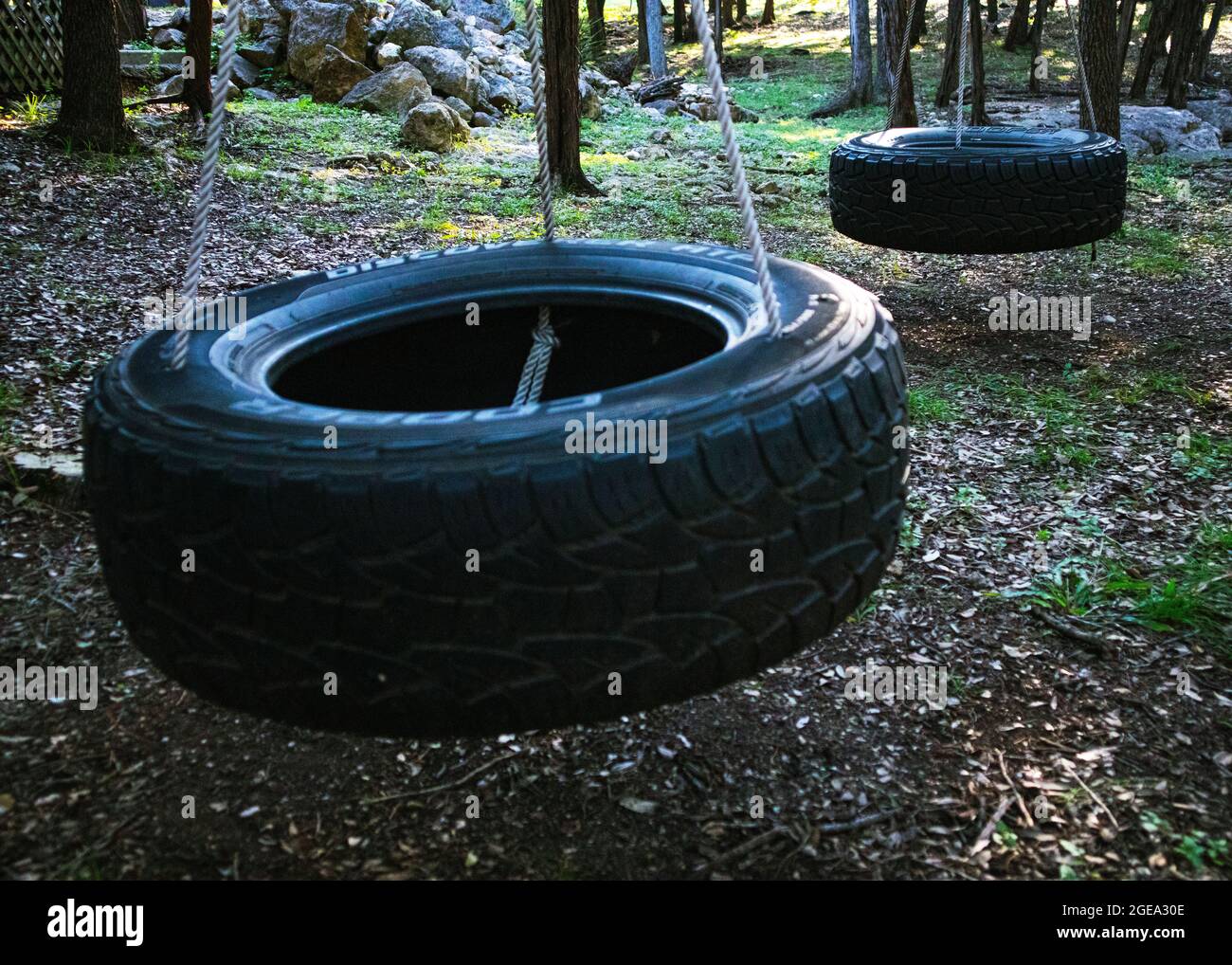 Swingintheforest hi-res stock photography and images - Alamy