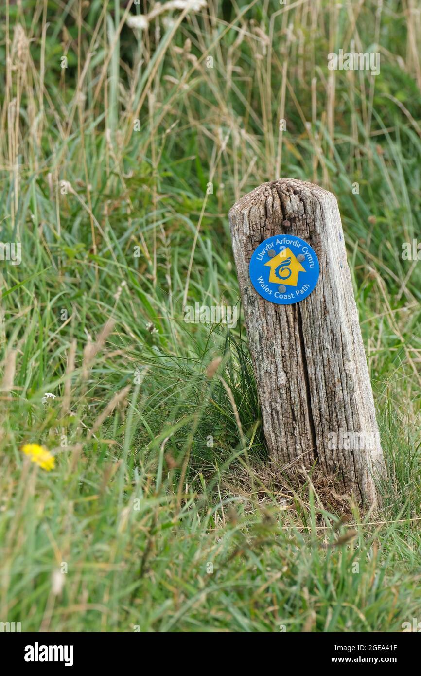 Wales Coast Path way marker, Gower peninsula, Wales. Credit: Gareth ...