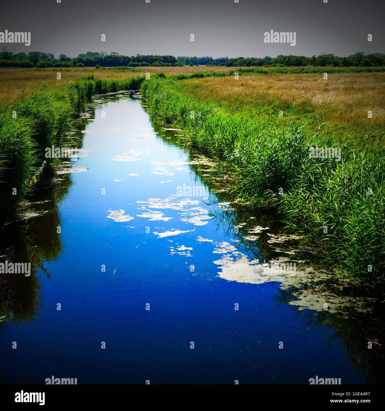 Canal in Le Marais - the Swamp, Digitally filtered view, Utah Beach ...