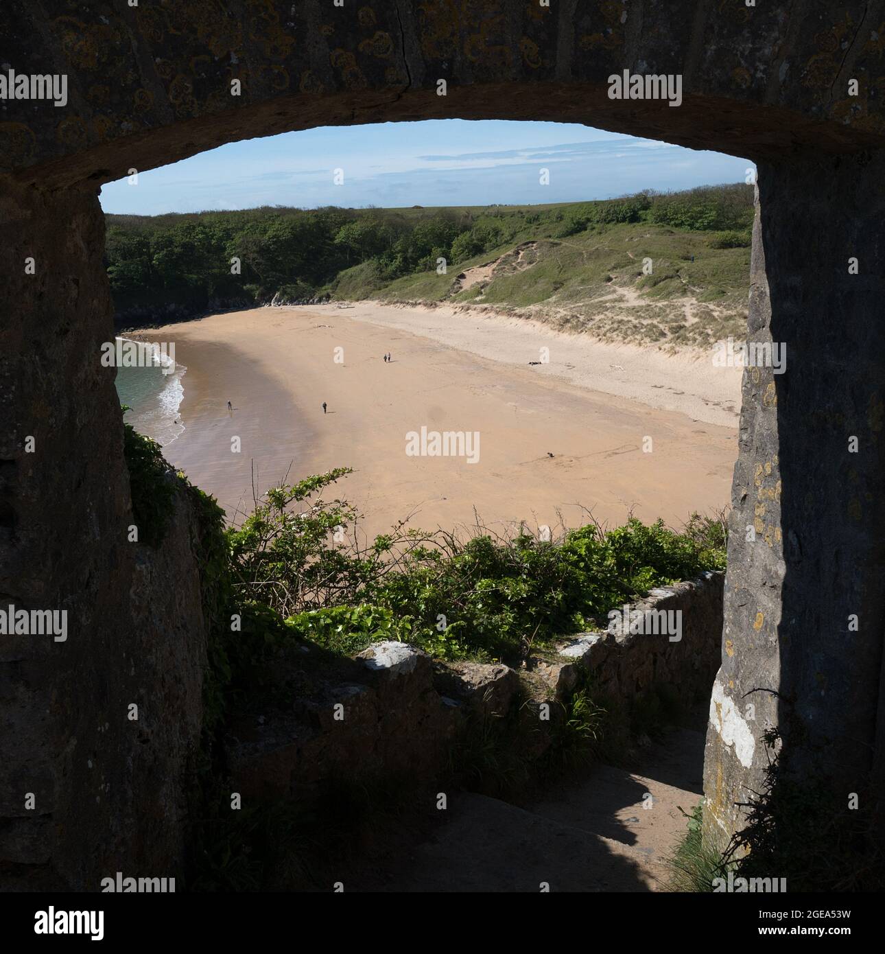 View from top of steps of beach at Barafundle Bay, Pembrokeshire, Wales ...