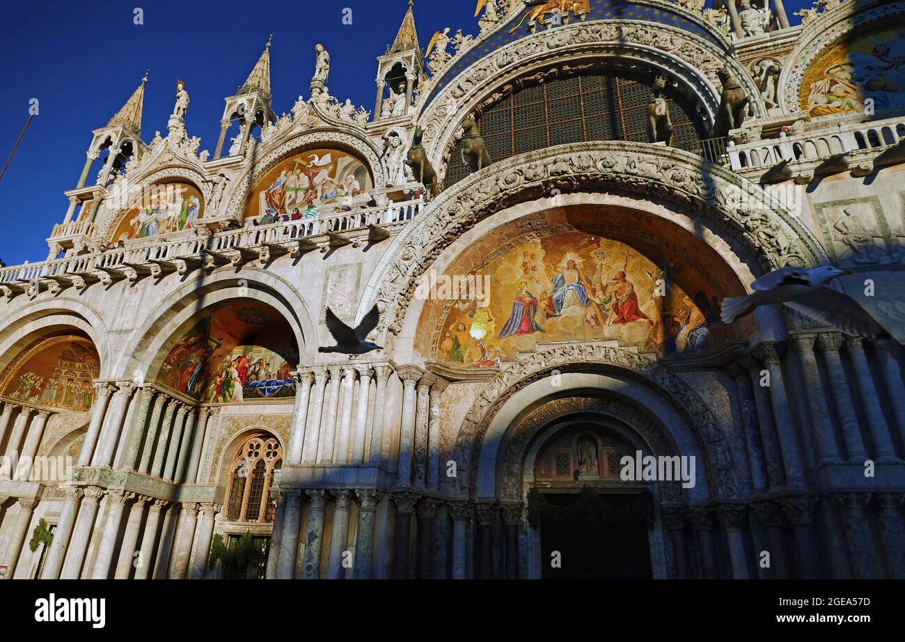 Seagulls soar past the grand edifice of St Mark's Basilica in Venice ...