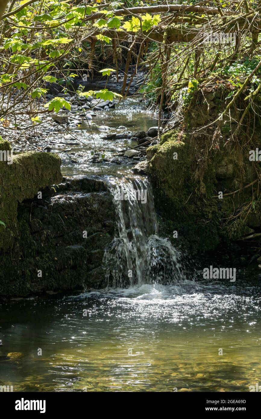 Woodland waterfall hi-res stock photography and images - Alamy