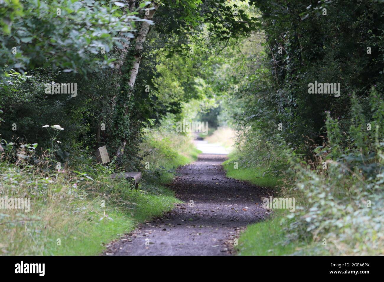 Llanilar ceredigion Wales uk weather 18th August 2021. A bright and ...
