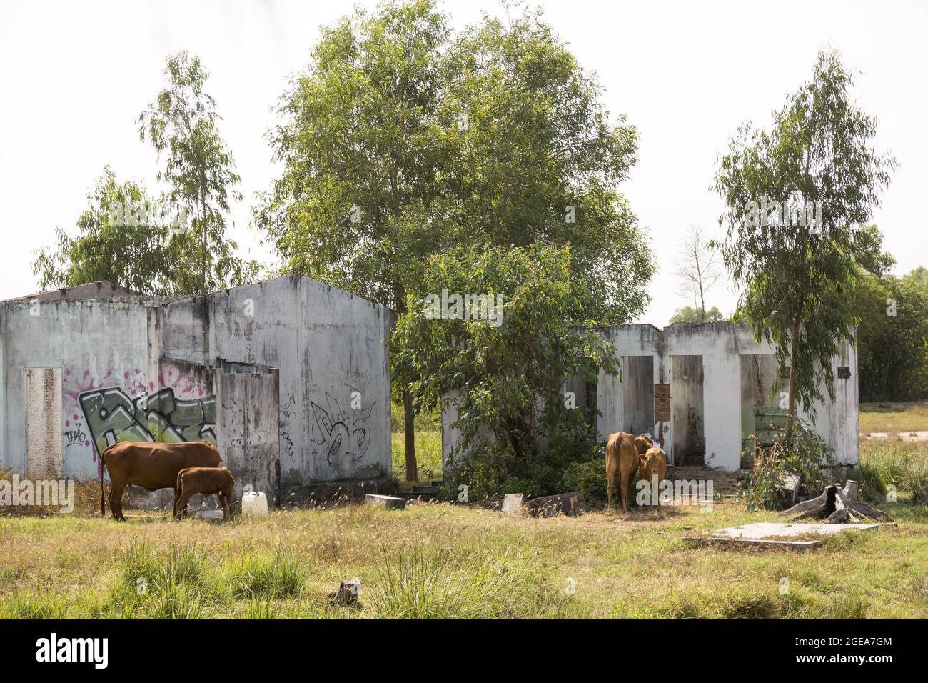 Ruin graffiti hi-res stock photography and images - Alamy