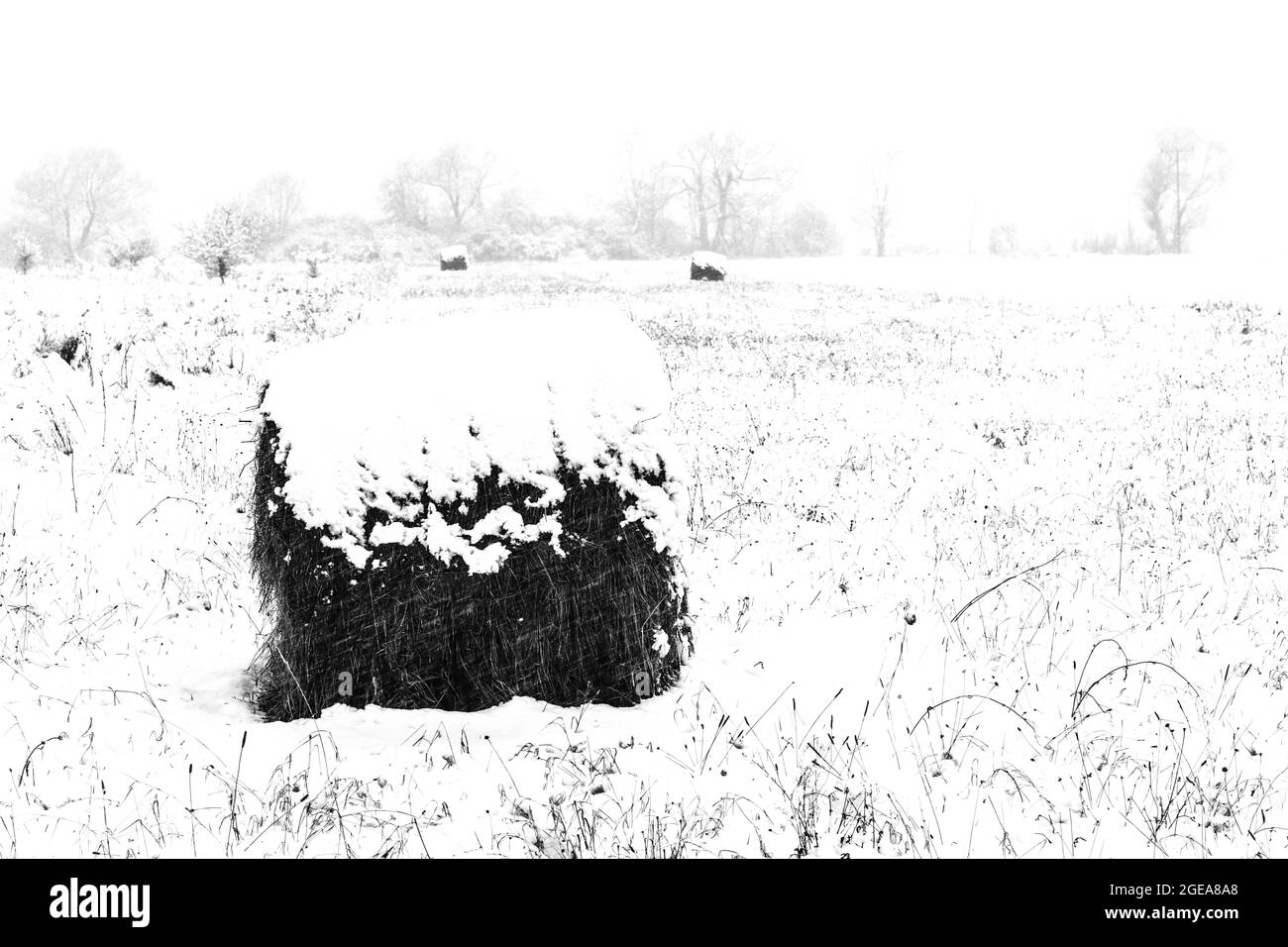 Hay bale roll Black and White Stock Photos & Images - Alamy