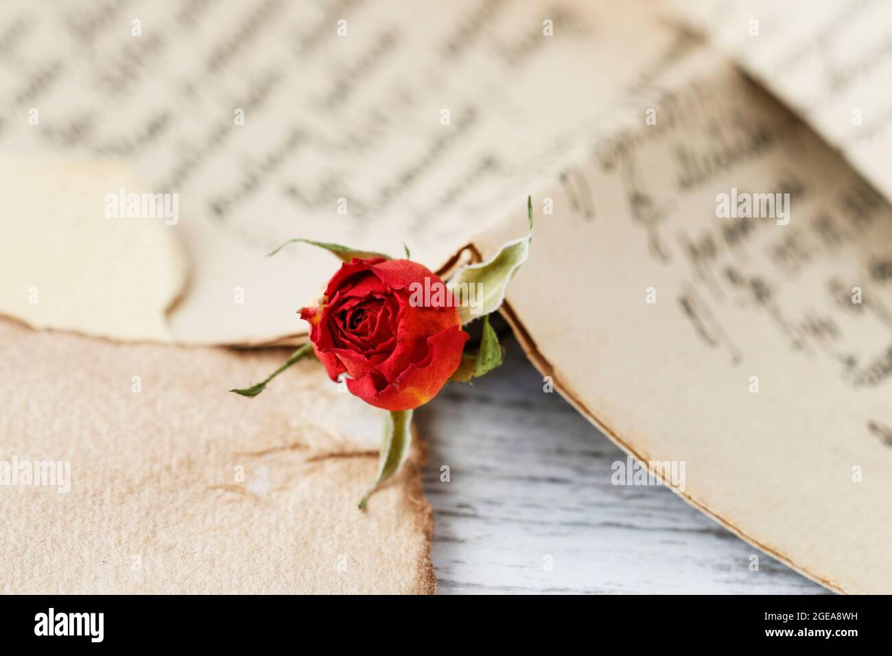Red rose and love letter. Retro style Stock Photo - Alamy