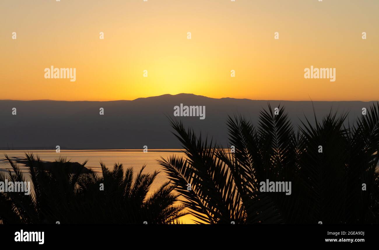The dead sea in Israel in sunset time with palm trees silhouettes and ...