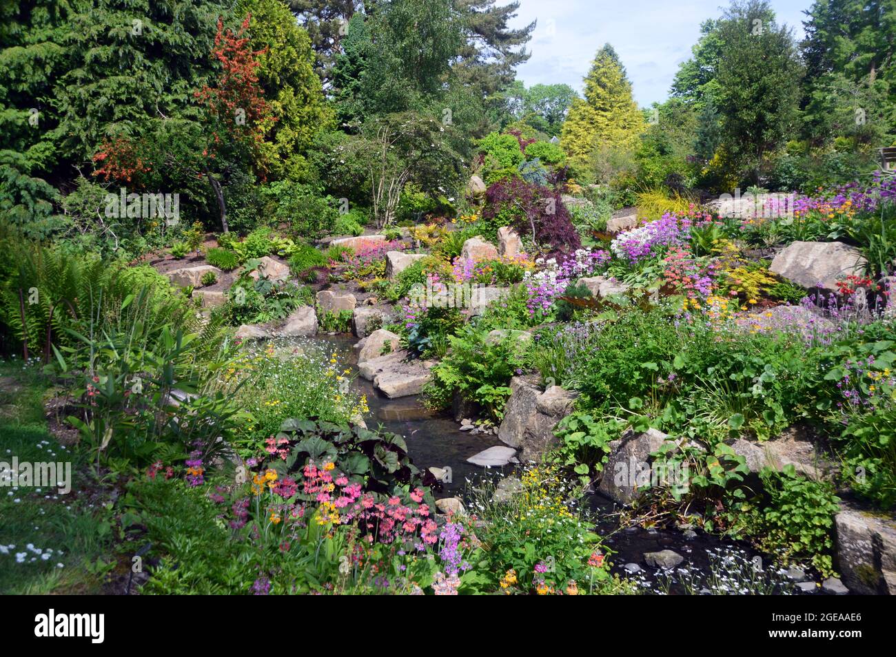 Flowers water gardens rockery hi-res stock photography and images - Alamy