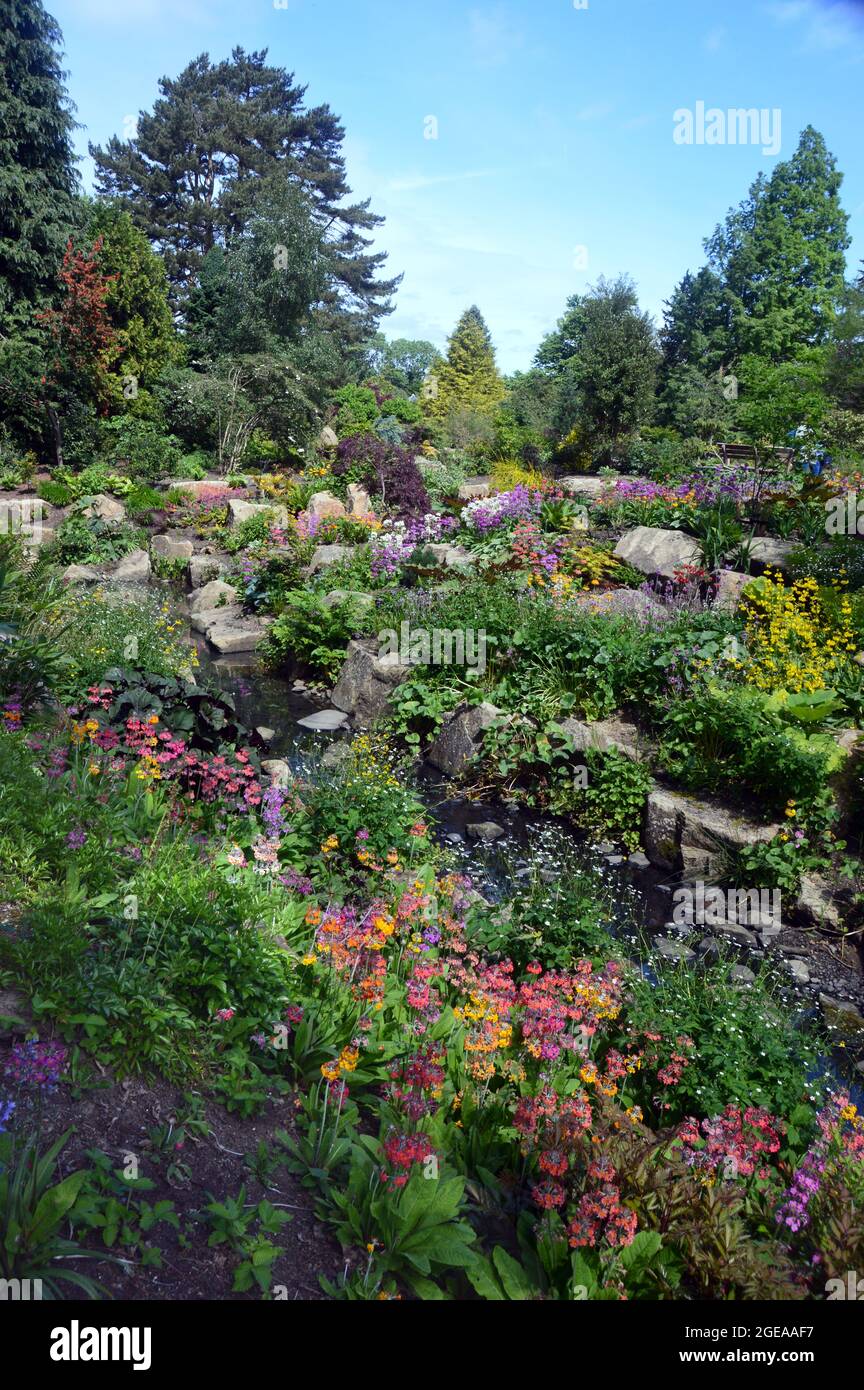 Flowers water gardens rockery hi-res stock photography and images - Alamy