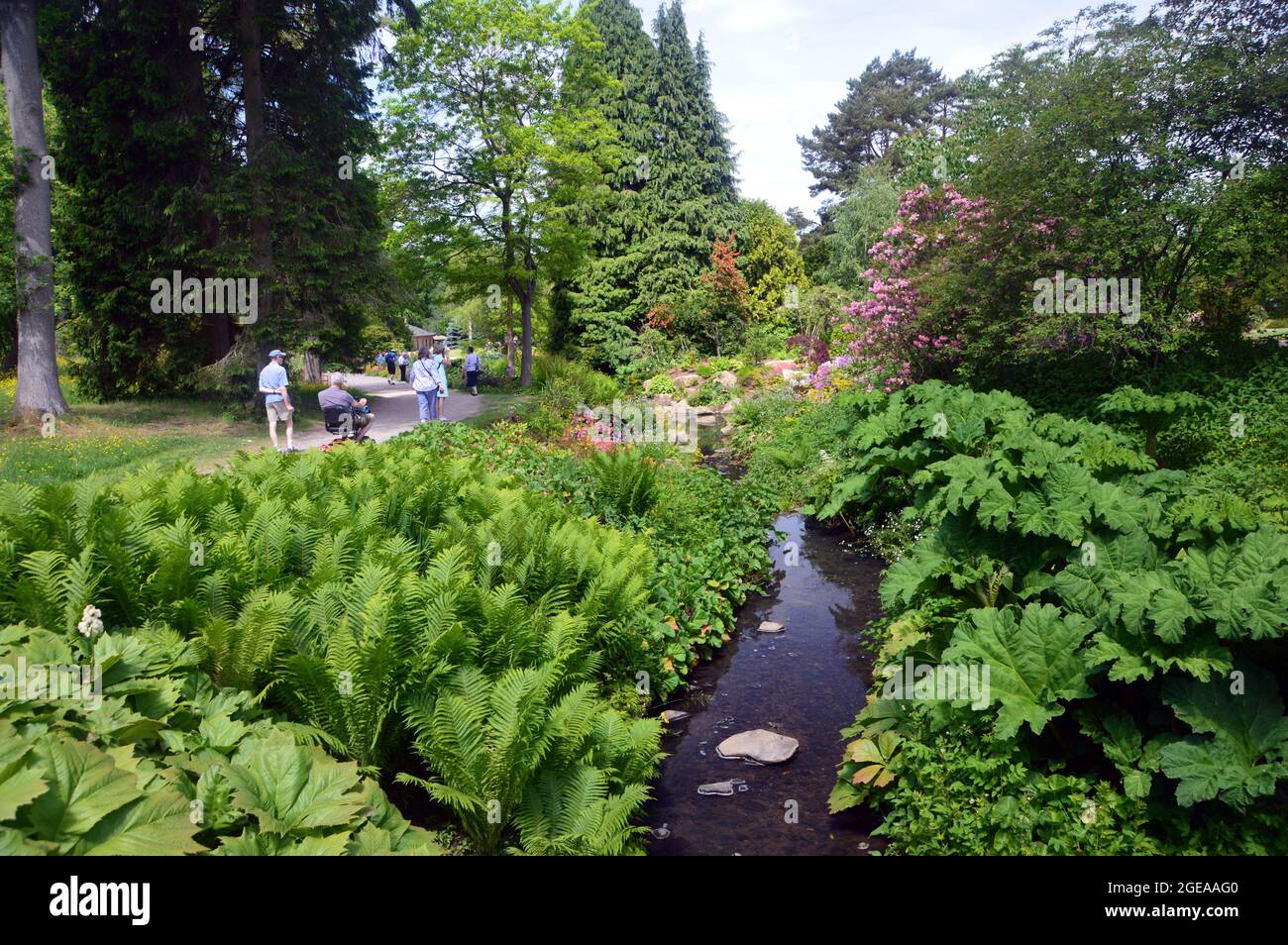 People Walking on Path Next to the Stream Flowing Through the Gardens ...