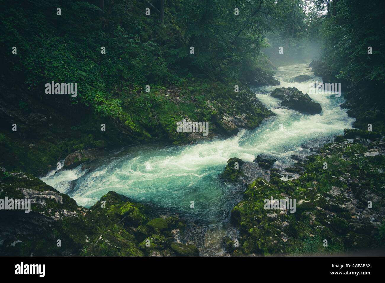 Clear mountain stream rapids with green blue water in the forest Stock ...