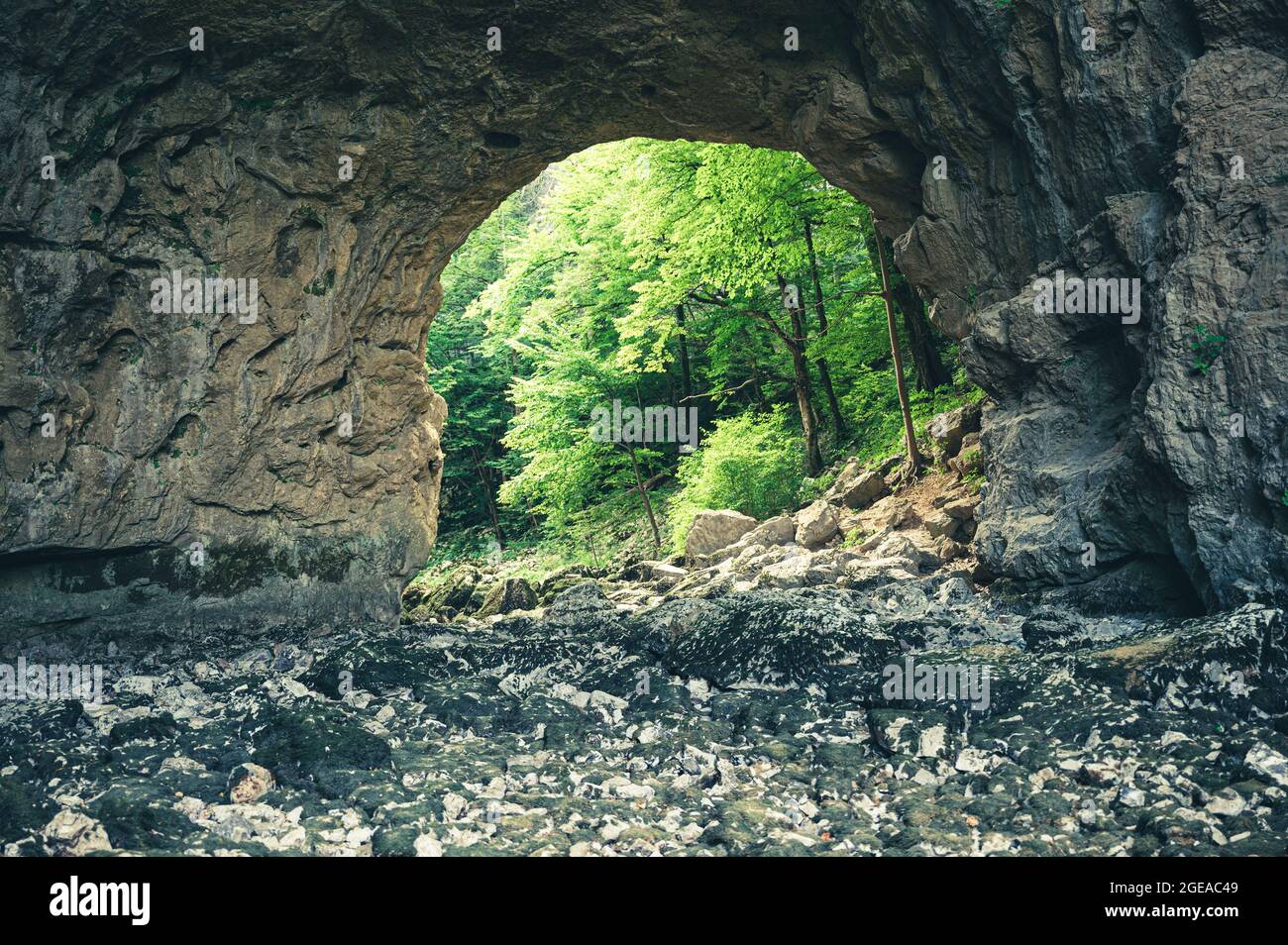 Natural stone arch bridge in the Rakov Škocjan Landscape Park Stock ...