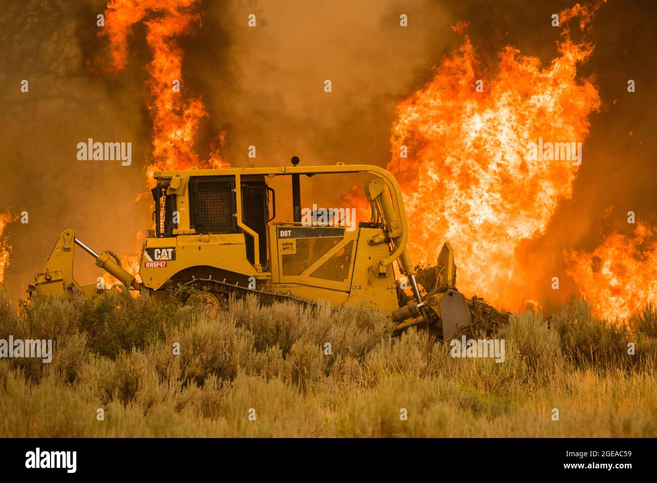 United States. 17th Aug, 2021. A bulldozer seen in the midst of flames ...
