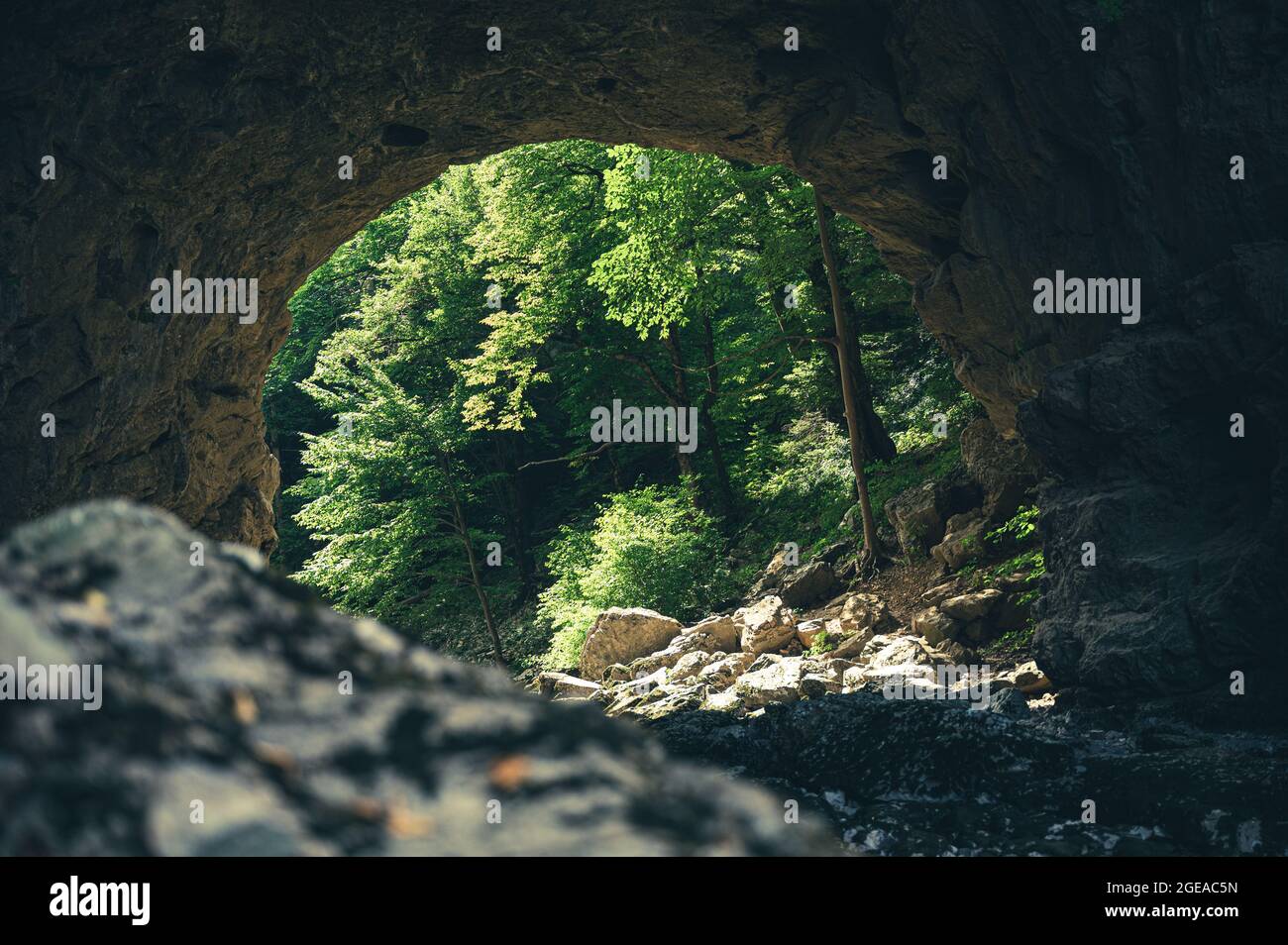 Natural stone arch bridge in the Rakov Škocjan Landscape Park Stock ...