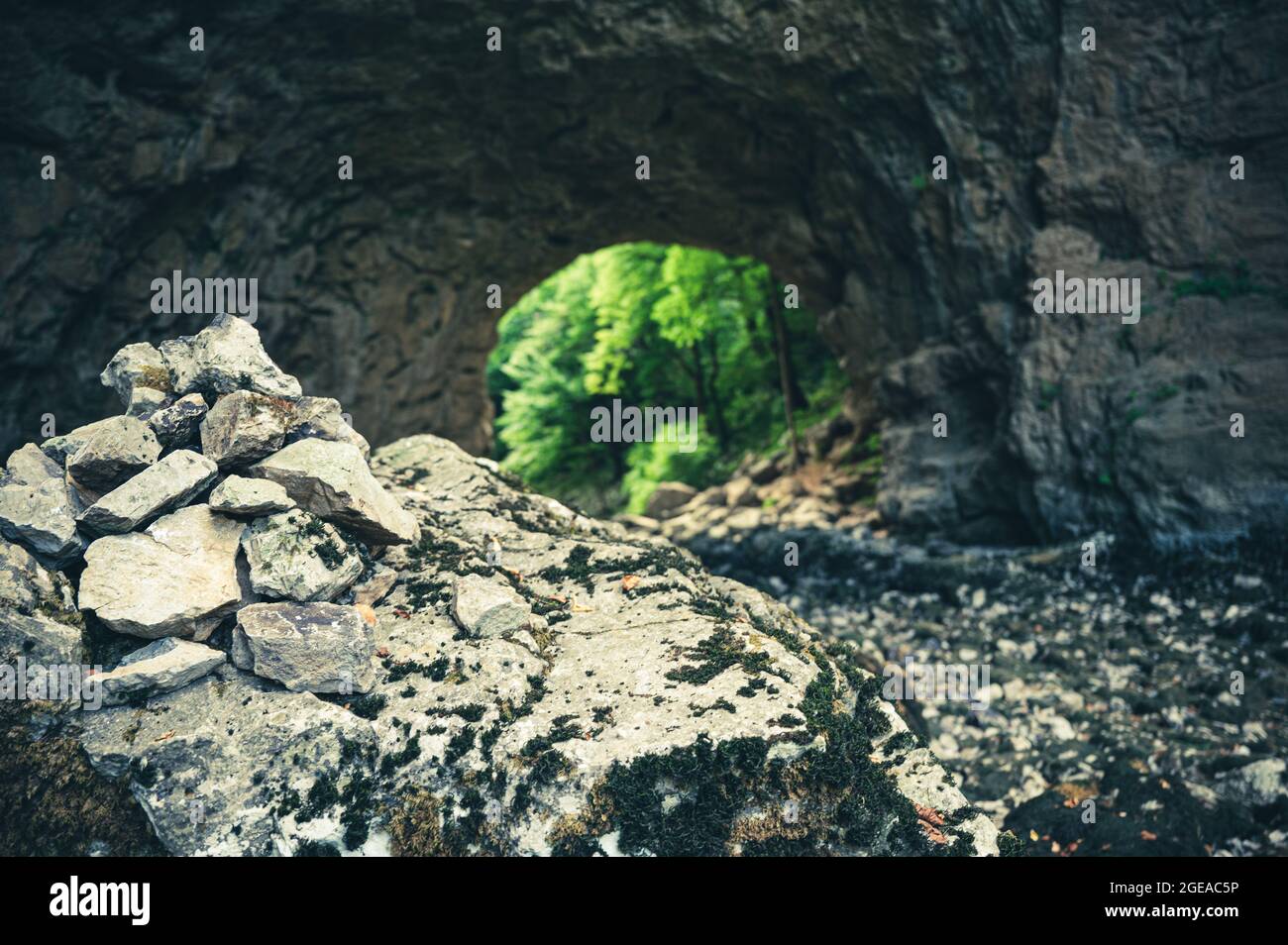 Natural stone arch bridge in the Rakov Škocjan Landscape Park Stock ...
