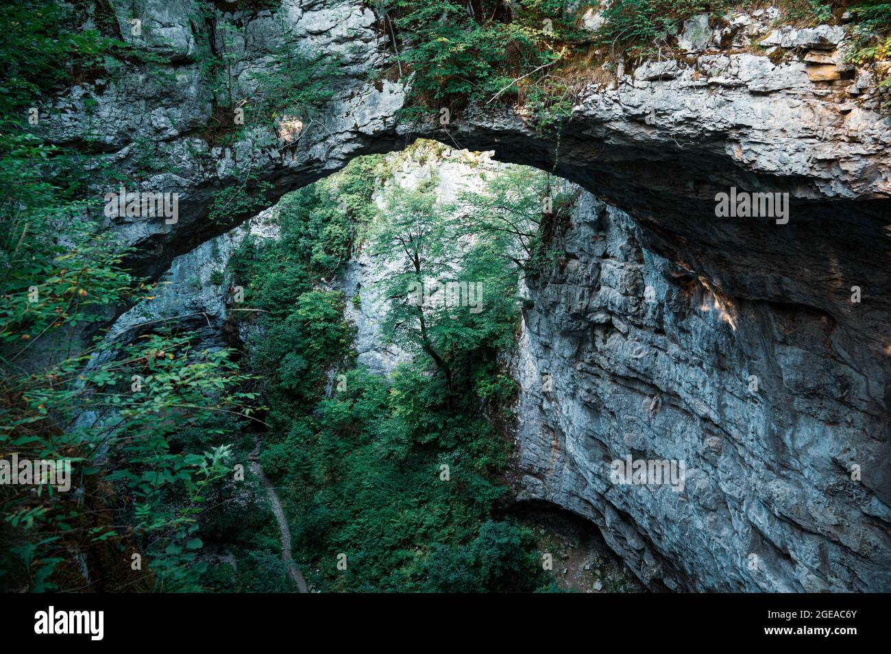 Natural stone arch bridge in the Rakov Škocjan Landscape Park Stock ...