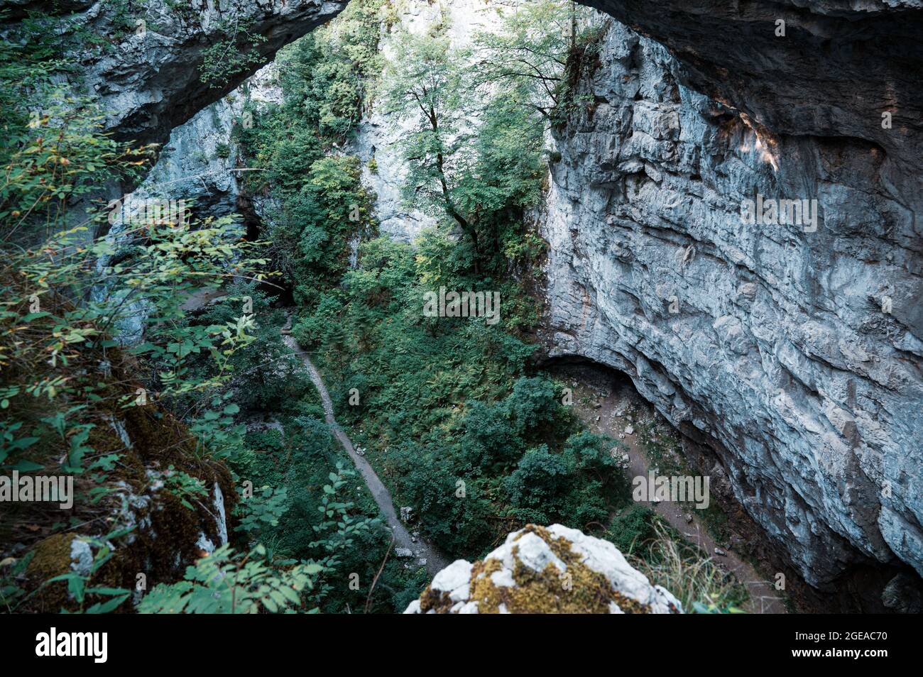 Natural stone arch bridge in the Rakov Škocjan Landscape Park Stock ...