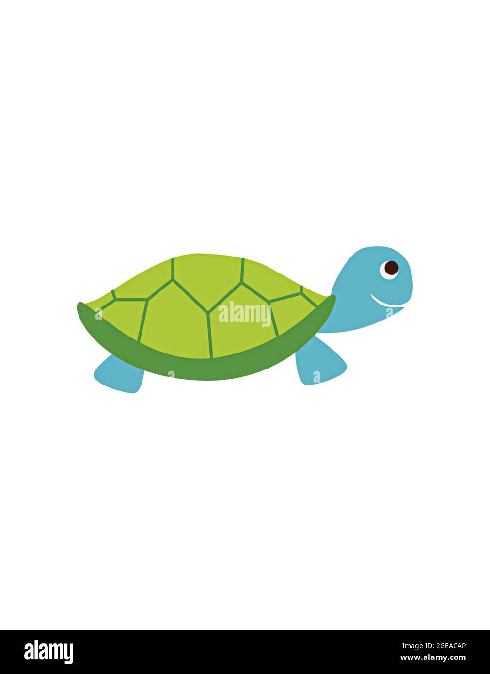 Cute green tortoise isolated on white Stock Photo - Alamy