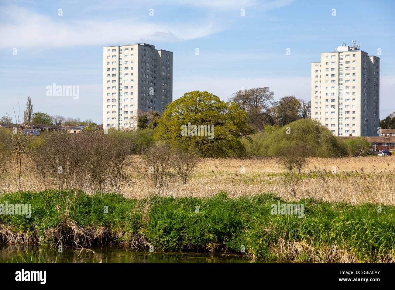 Tower blocks loom over Coley Meadows, Reading, UK Stock Photo - Alamy