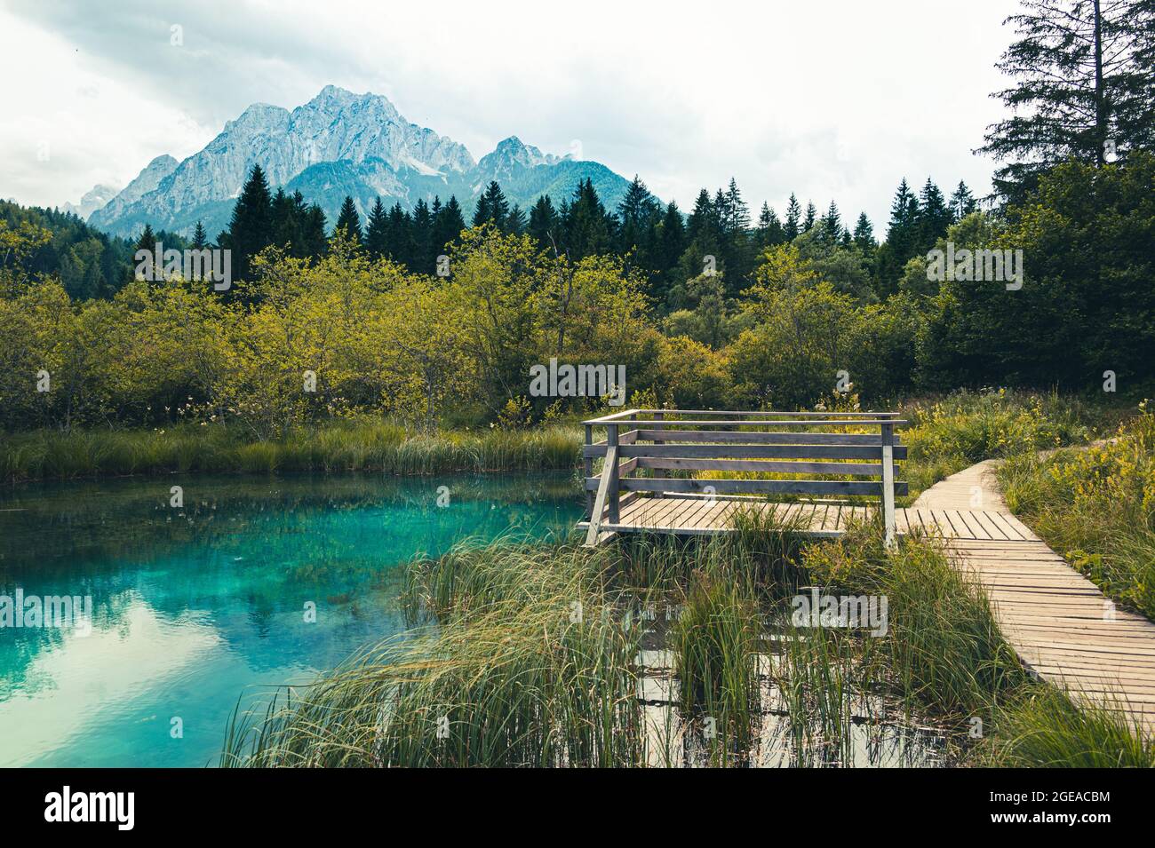 Zelenki Nature Reserve in Slovenia - Blue Lakes and Crystal Clear Water ...