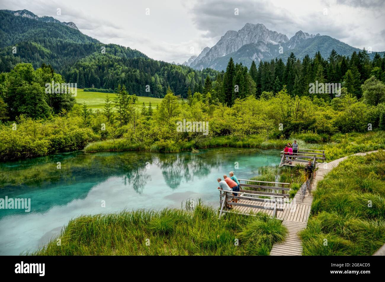 Zelenki Nature Reserve in Slovenia - Blue Lakes and Crystal Clear Water ...